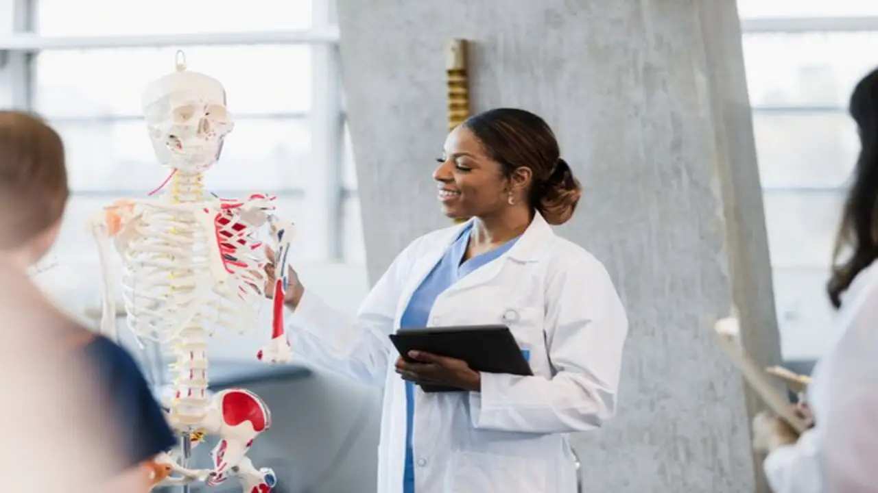 12 Best Medical Schools In The US